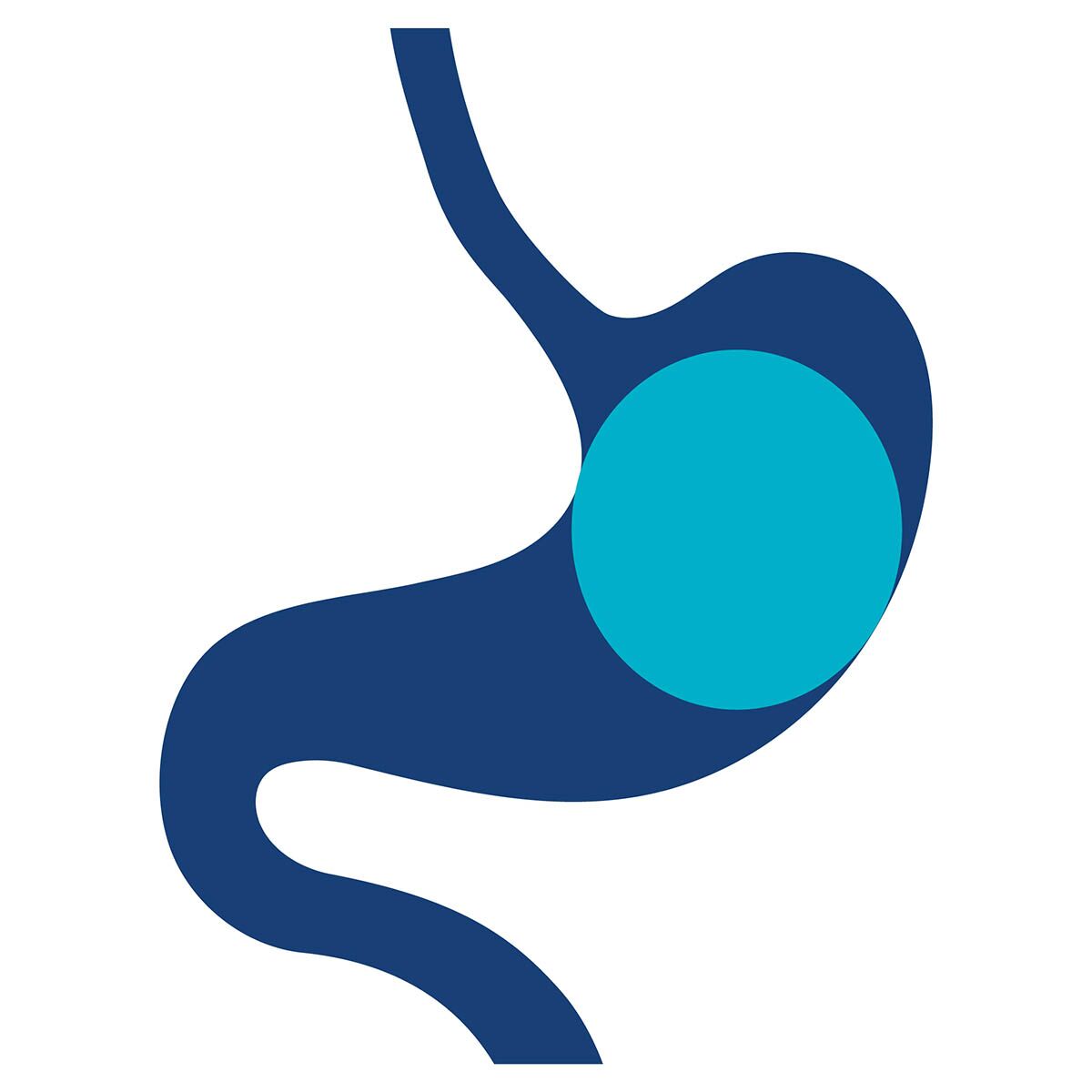 South Florida Bariatric Surgery, Gastric Sleeve, Bypass, Lap-Band & Intragastric Balloon ...